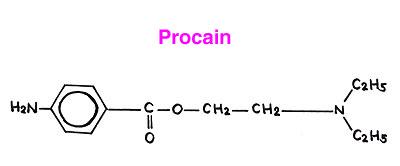 Glossar: Procain